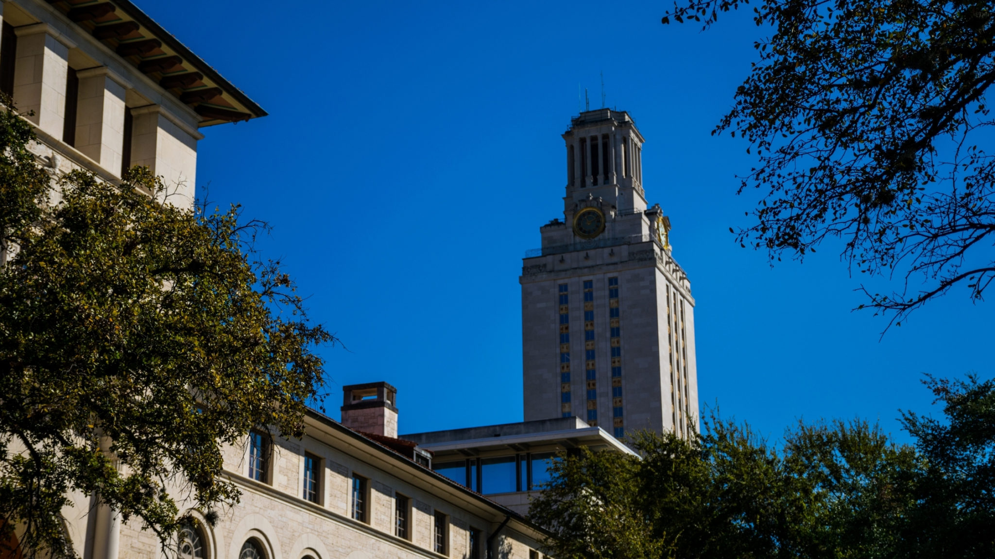 Exploring UT Austin s Honors Programs Ivy Scholars exploring-ut-austin-s-honors-programs-ivy-scholars