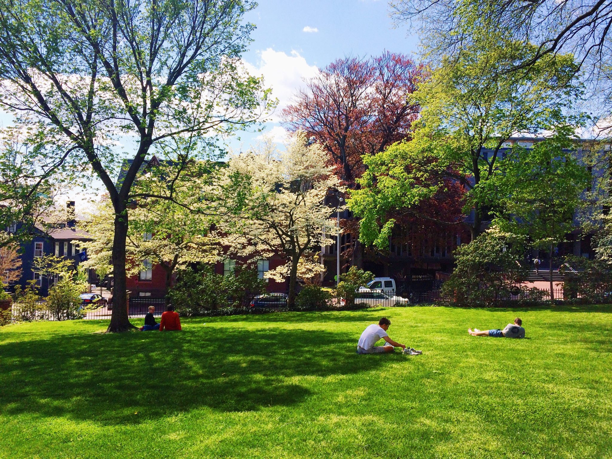 How to Get into Brown’s PLME Program - Ivy Scholars