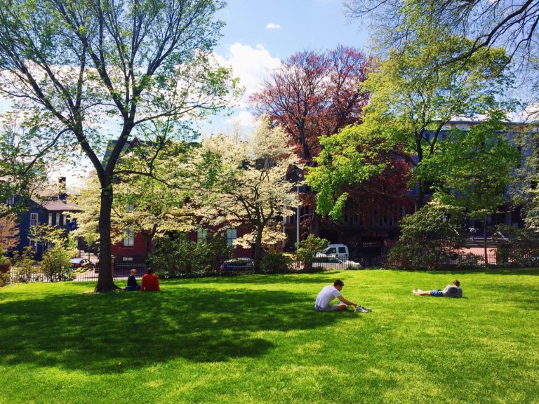 How to Get into Brown’s PLME Program - Ivy Scholars