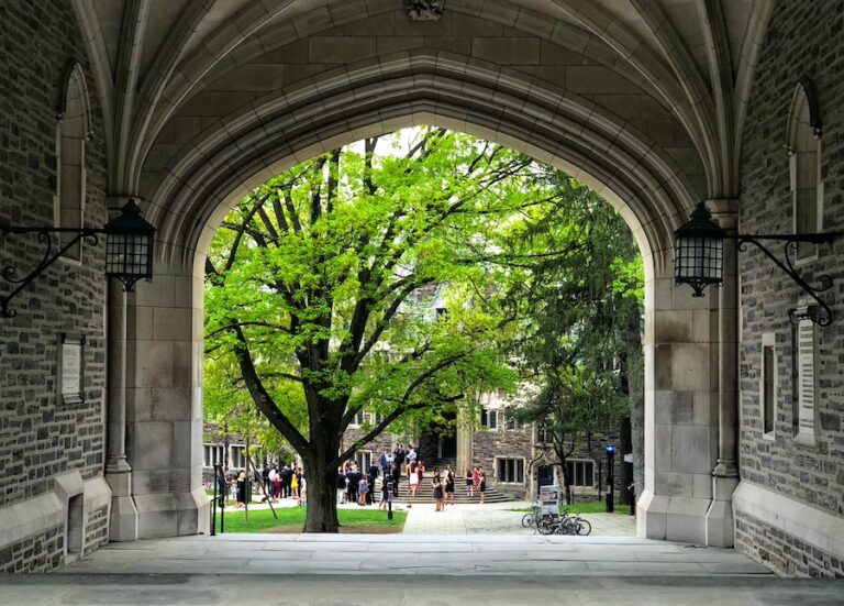 Decoding College Acceptance Rates: Ivy League & Top 20 Insights